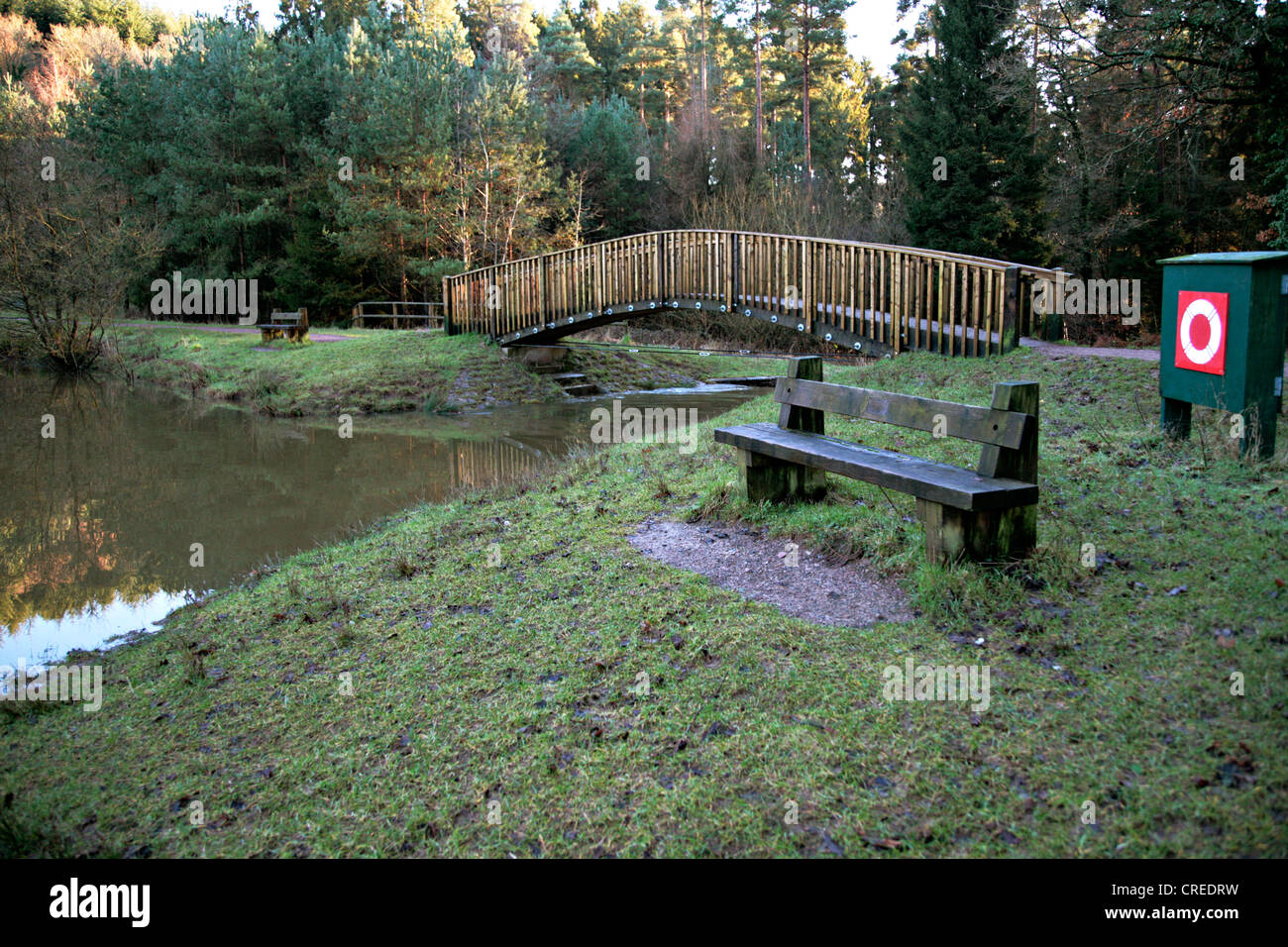 Forest of dean lake hi-res stock photography and images - Alamy