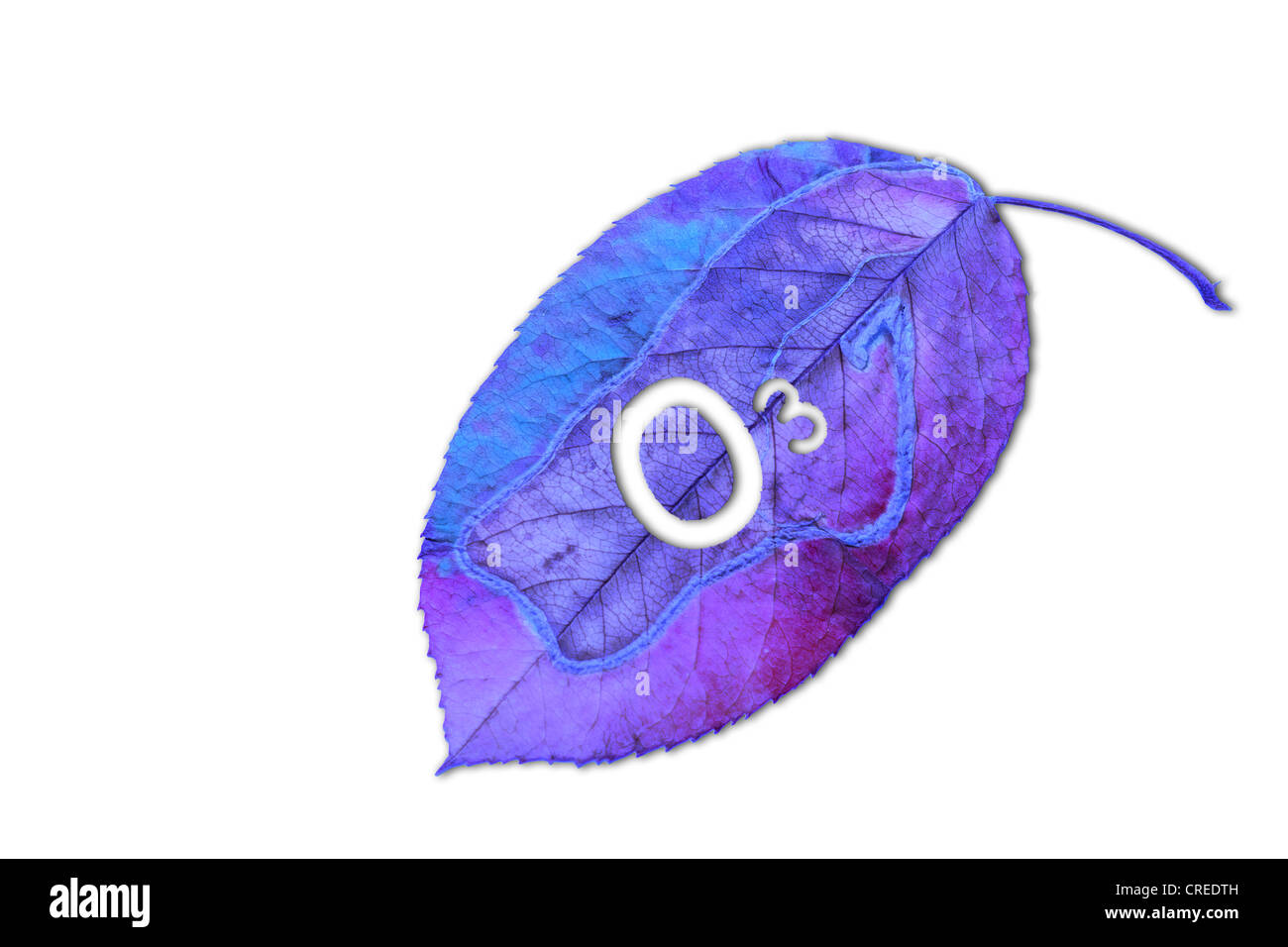 Ozone damage to leaf hi-res stock photography and images - Alamy