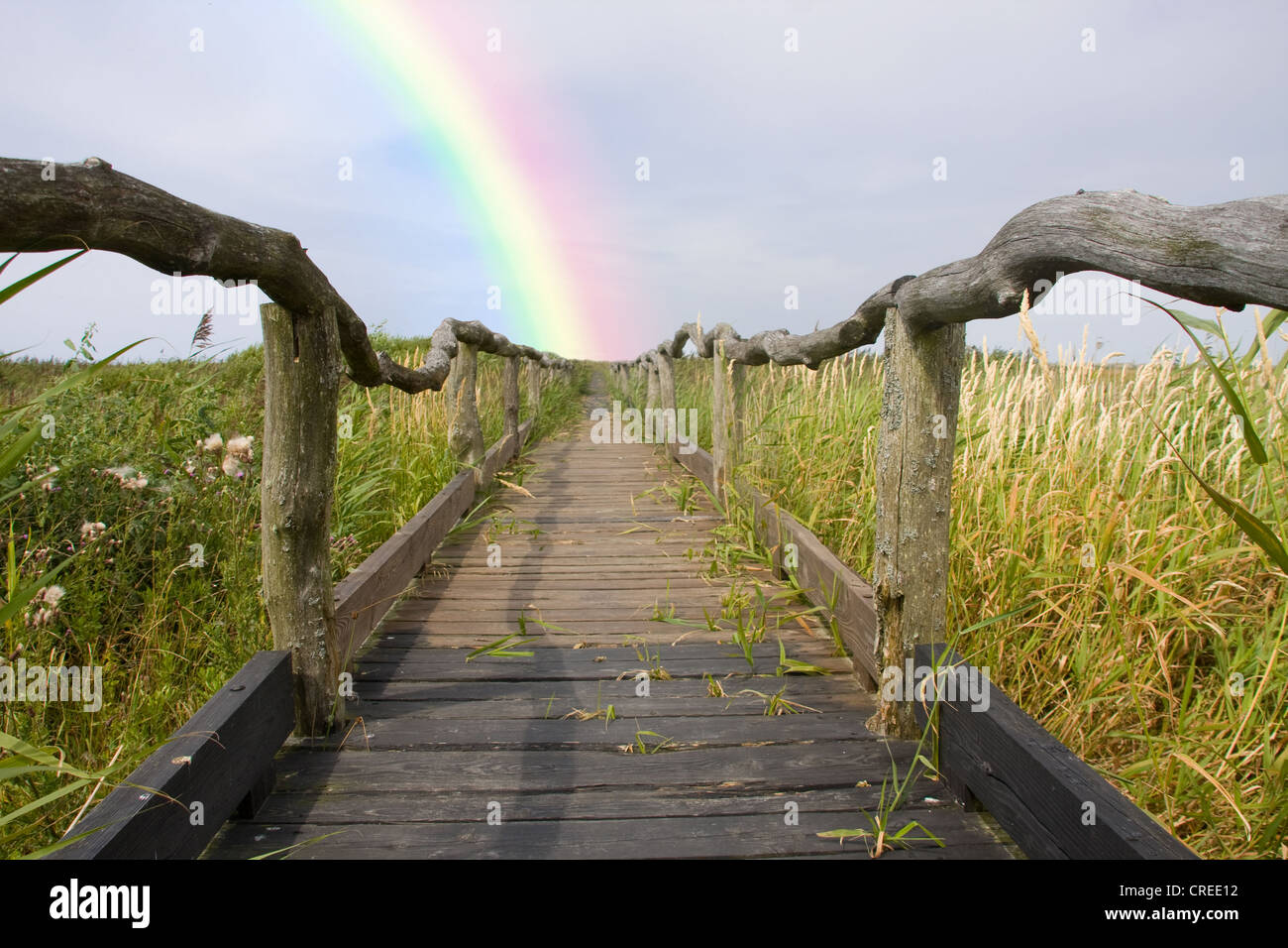way to the rainbow Stock Photo - Alamy