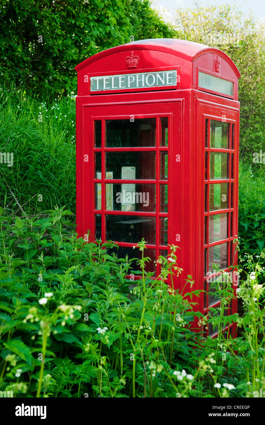 Red telephone box overgrown plants hi-res stock photography and images ...