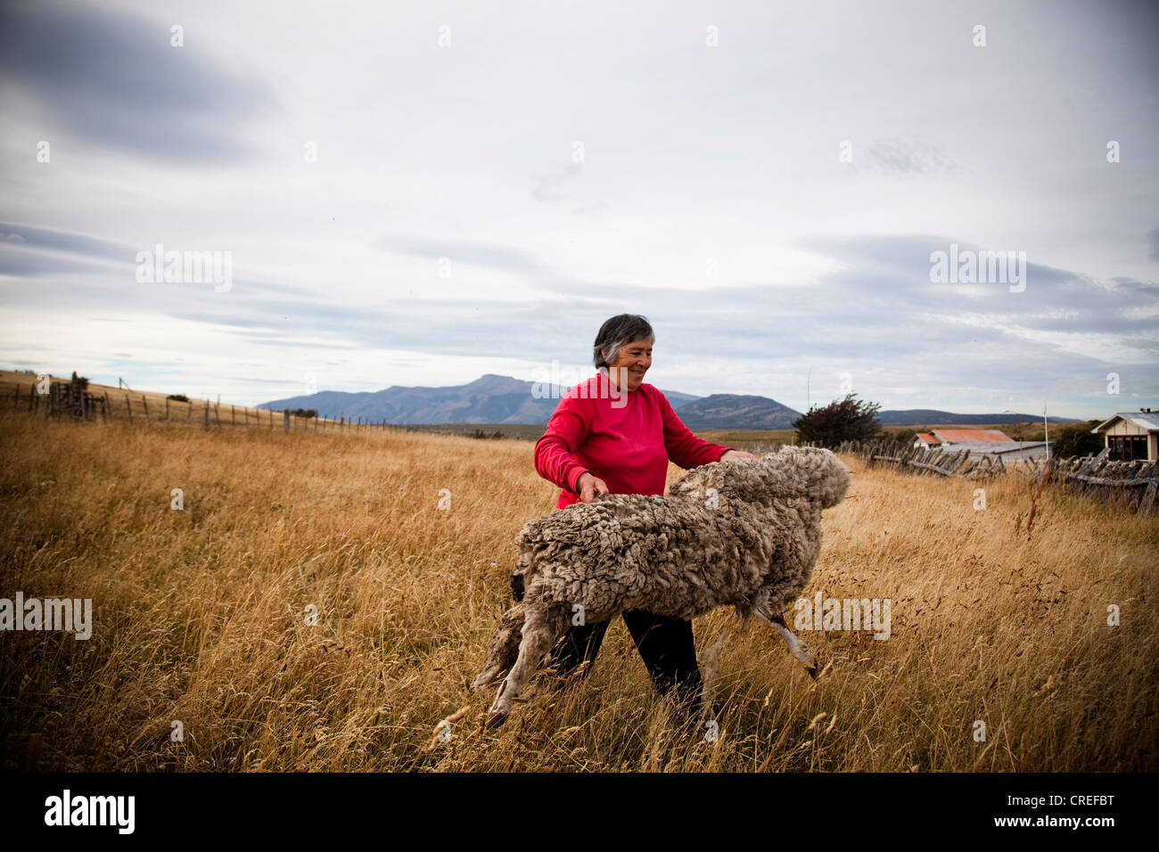 A portrait of a woman holding the skin of a sheep. She farms her land ...