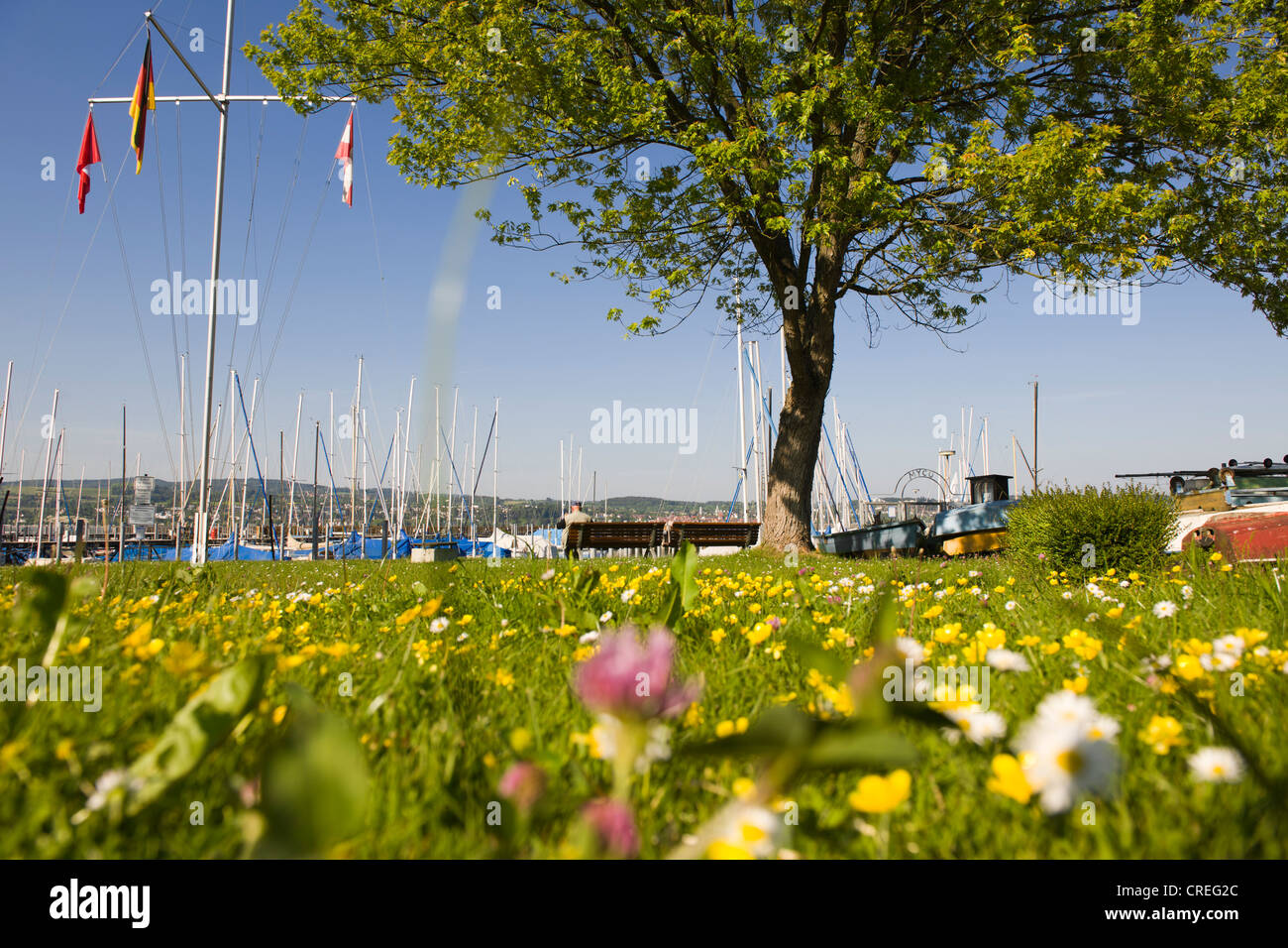 Wallhausen hi-res stock photography and images - Alamy