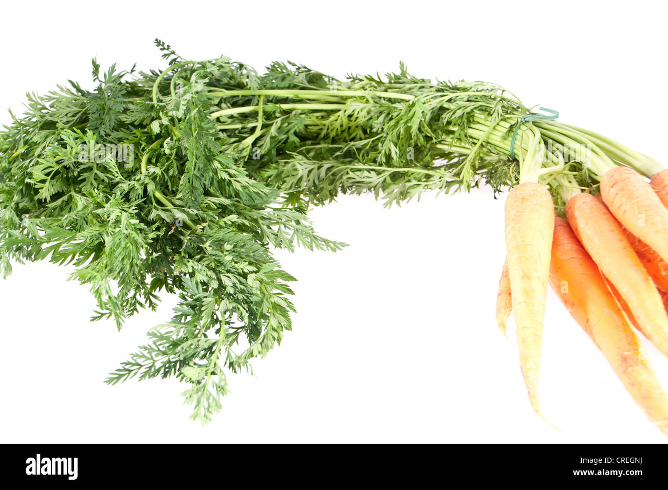 Bundle of carrots with herb isolated on white background Stock Photo ...