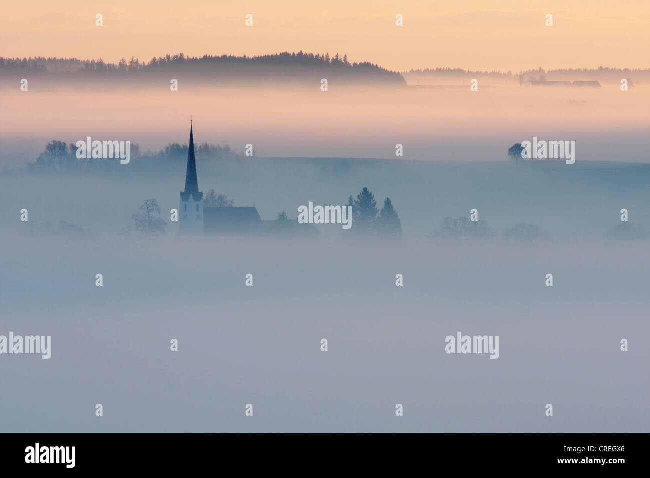 ground mist in a valley with staple, Germany, Bavaria, Isental Stock ...