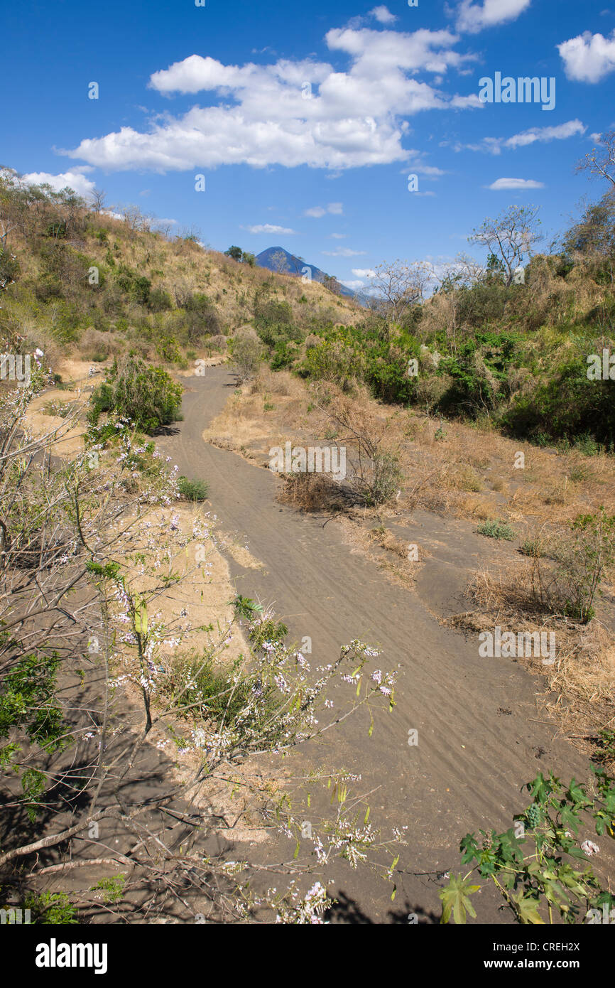 Nicaragua dry season river bed hi-res stock photography and images - Alamy