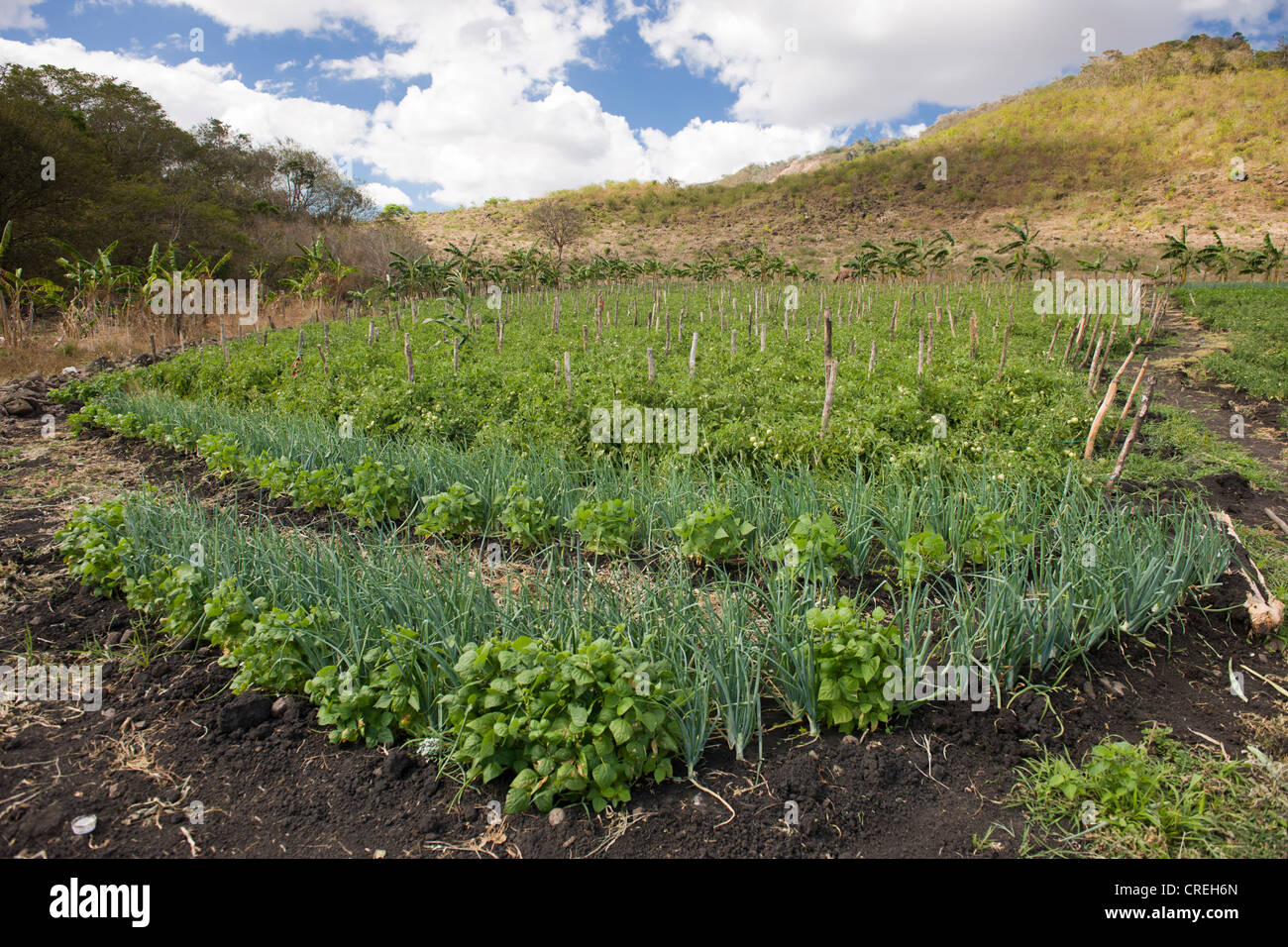 Mixed use spaces hi-res stock photography and images - Alamy