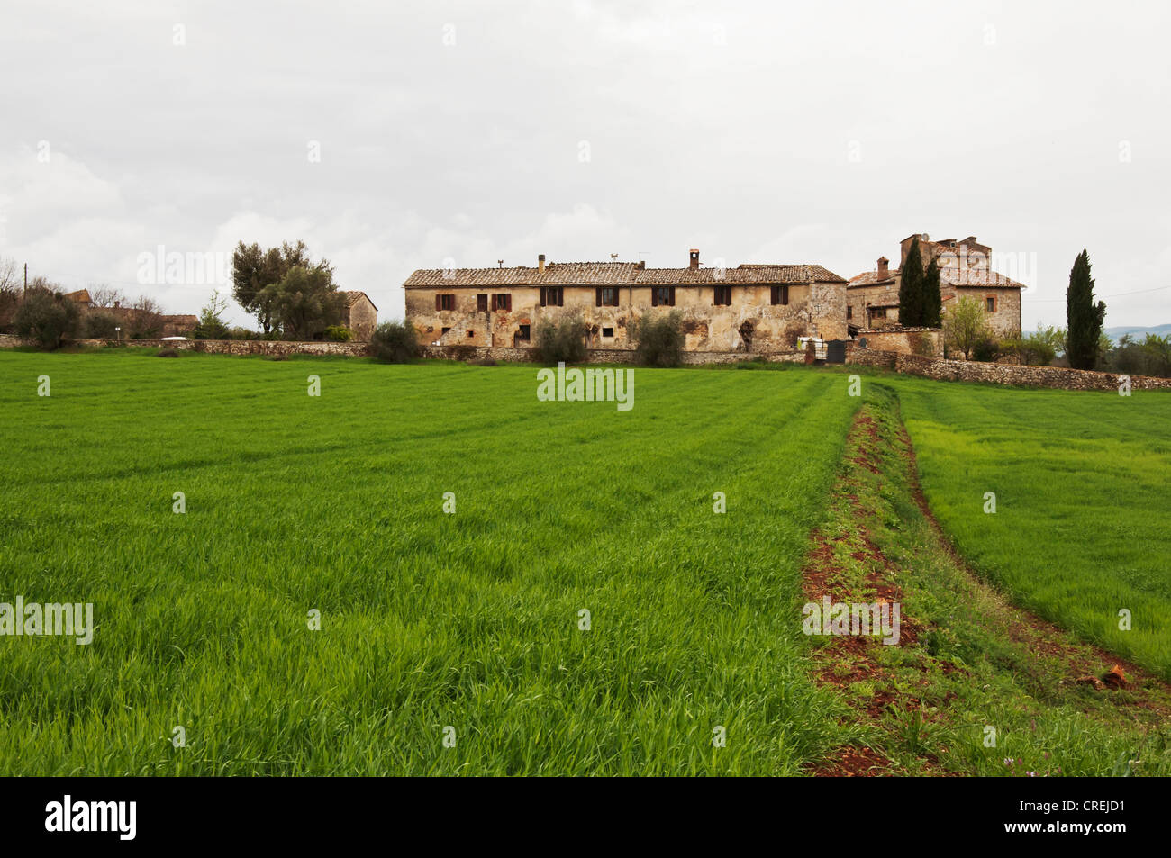 house and farm in tuscan countryside, Italy Stock Photo - Alamy