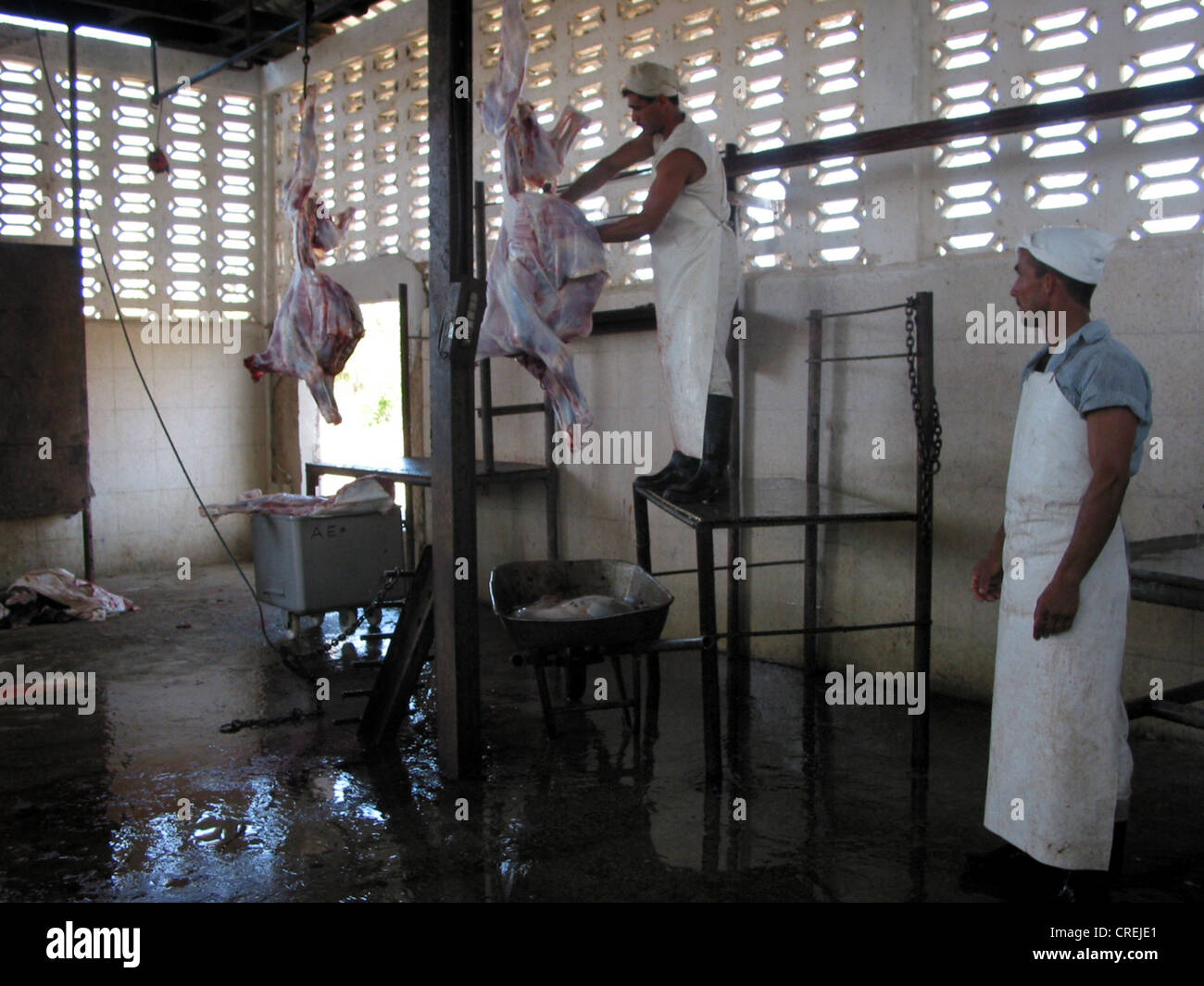 Slaughterhouse america hi-res stock photography and images - Alamy