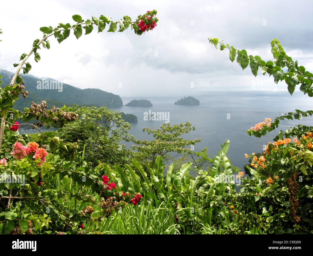 Wild plants form an arc, view of coastline of the Caribbean island of ...