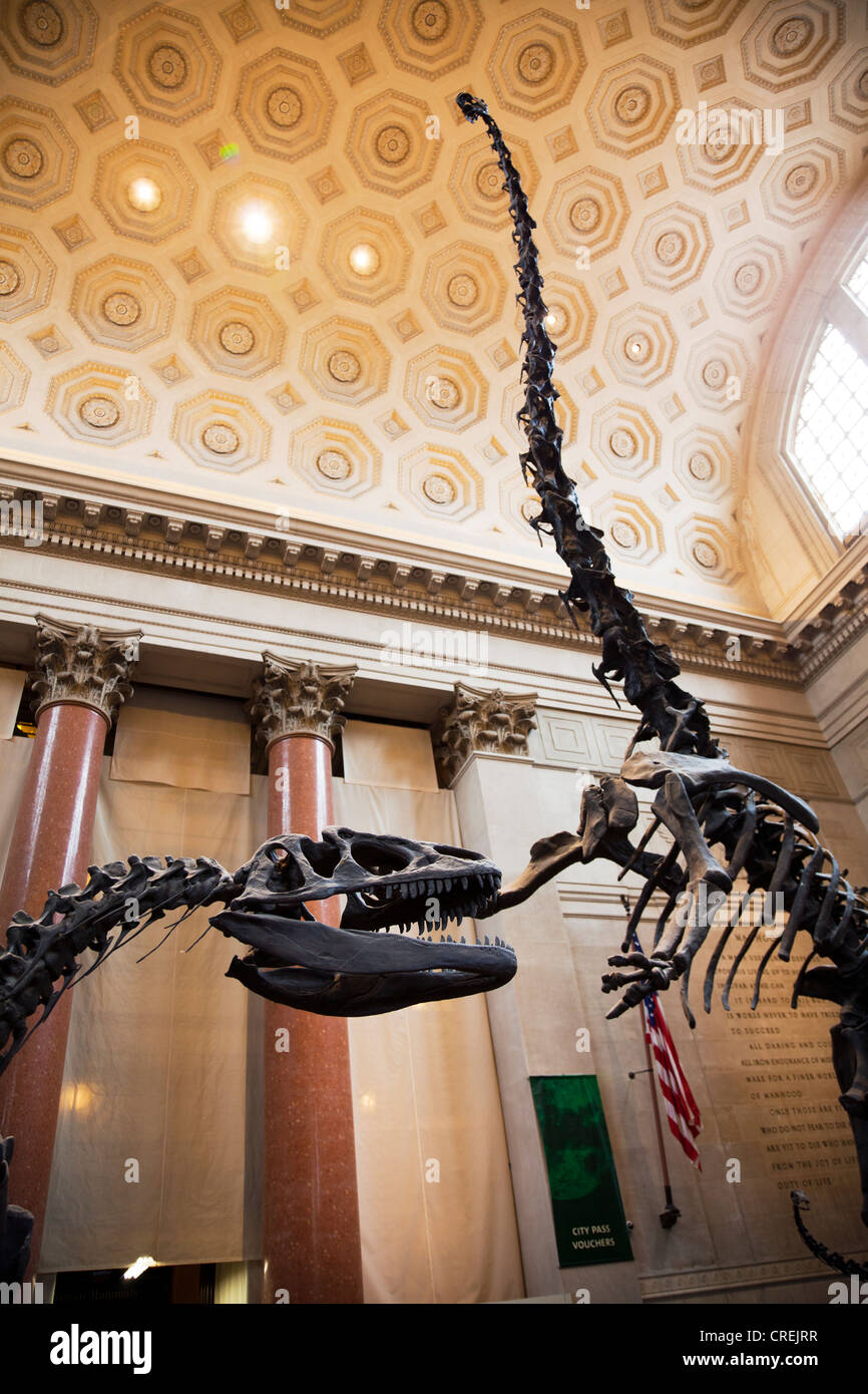 Prehistoric animals hi-res stock photography and images - Alamy