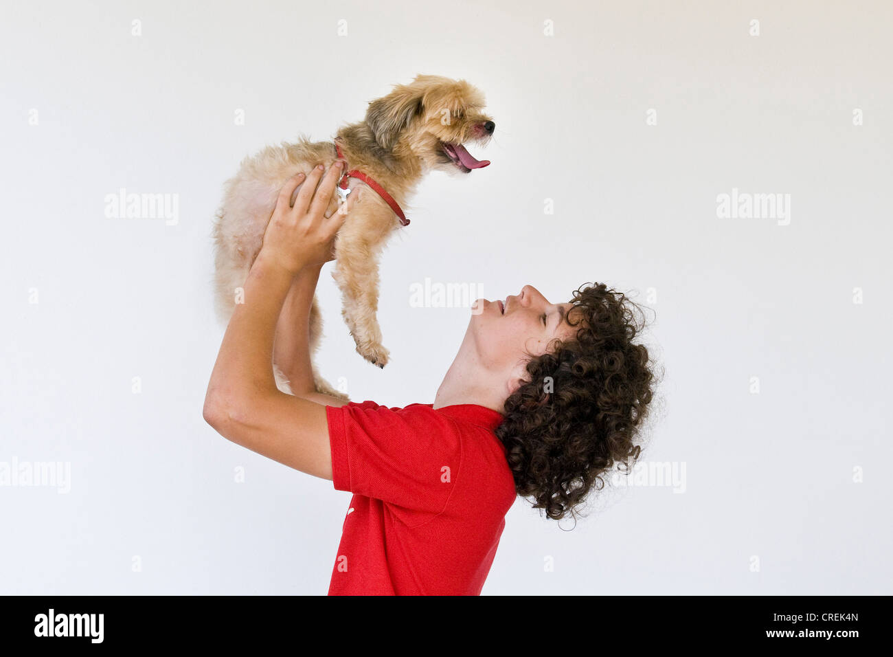 Boy with dog Stock Photo - Alamy