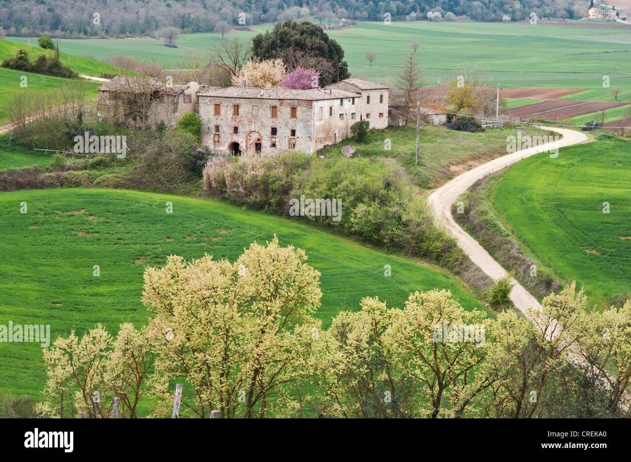 Tuscan countryside farm hi-res stock photography and images - Alamy