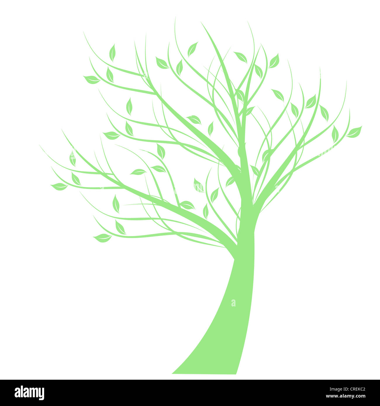 Beautiful art tree isolated on white background Stock Photo - Alamy