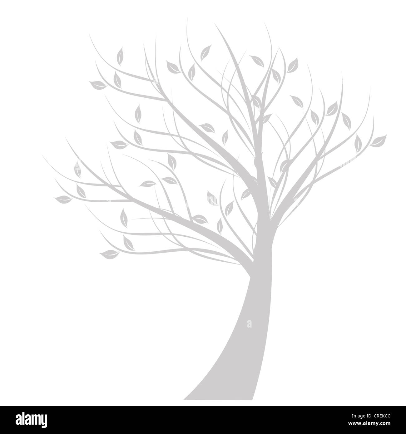 Beautiful art tree isolated on white background Stock Photo - Alamy