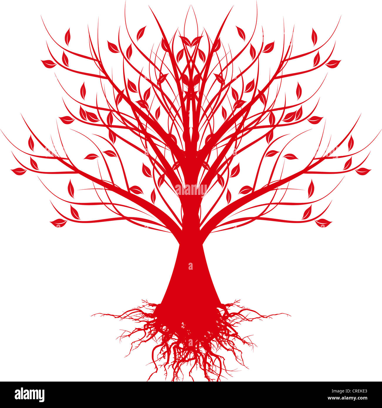 Beautiful art tree isolated on white background Stock Photo - Alamy