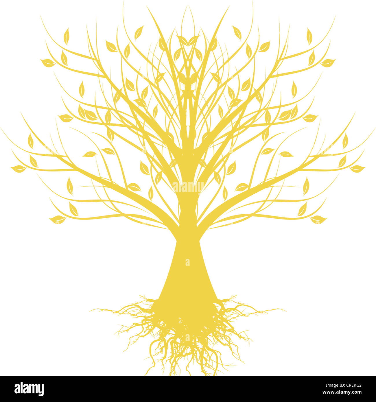 Beautiful art tree isolated on white background Stock Photo - Alamy