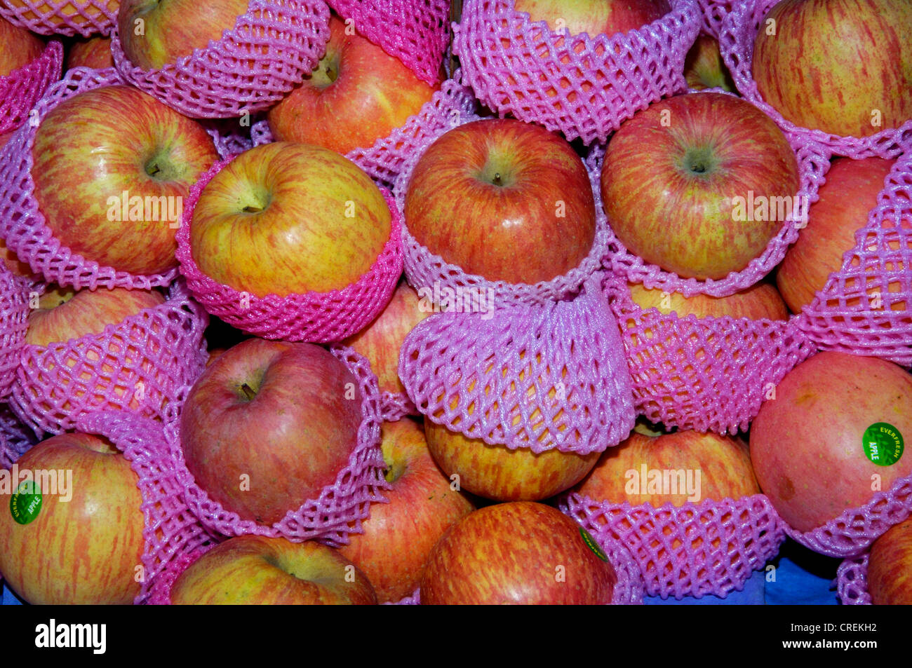apple (Malus domestica), apples in protective packages, Germany Stock ...