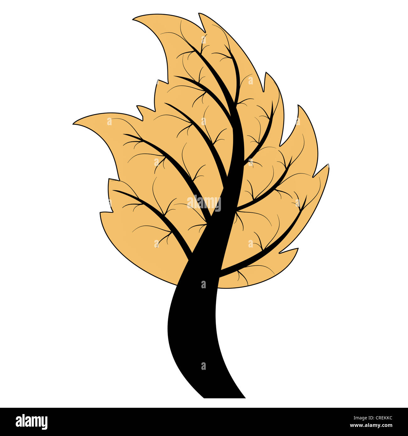 Beautiful art tree isolated on white background Stock Photo - Alamy