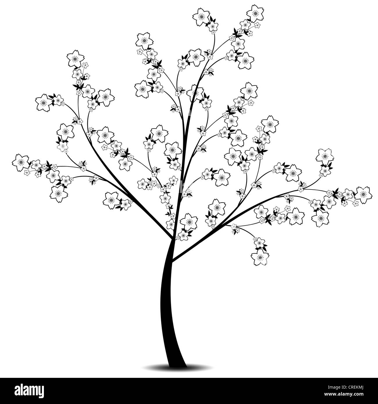 Beautiful flower tree isolated on white background Stock Photo - Alamy