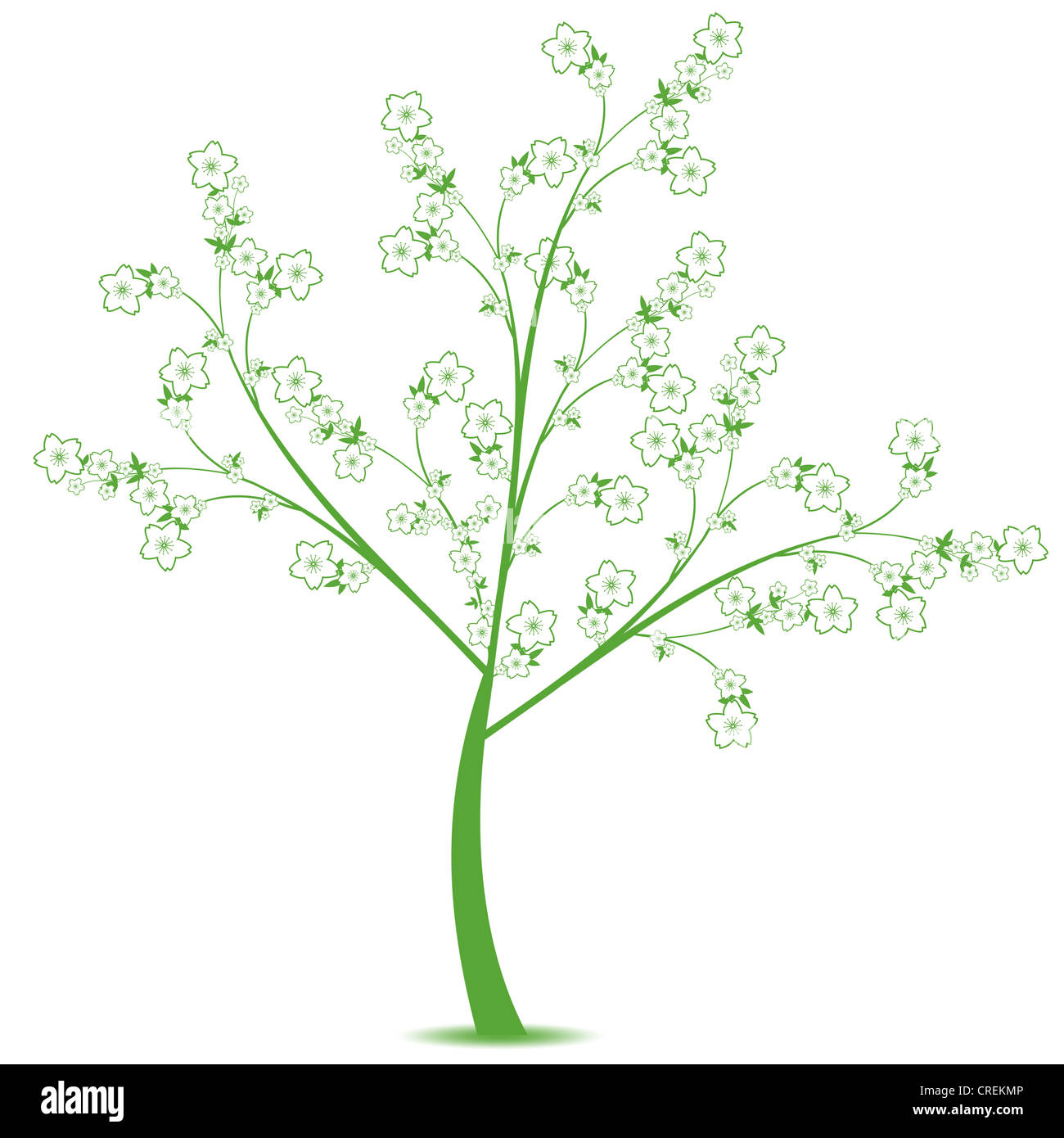 Beautiful flower tree isolated on white background Stock Photo - Alamy