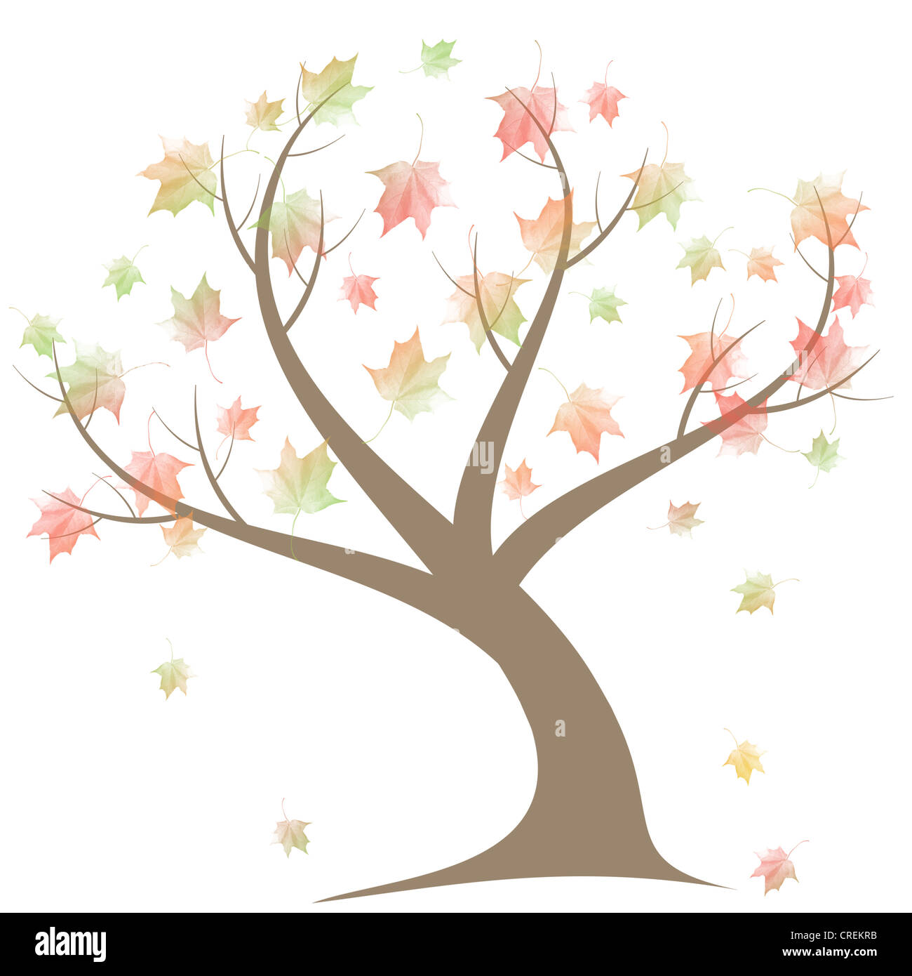 Beautiful autumn tree isolated on white background Stock Photo - Alamy