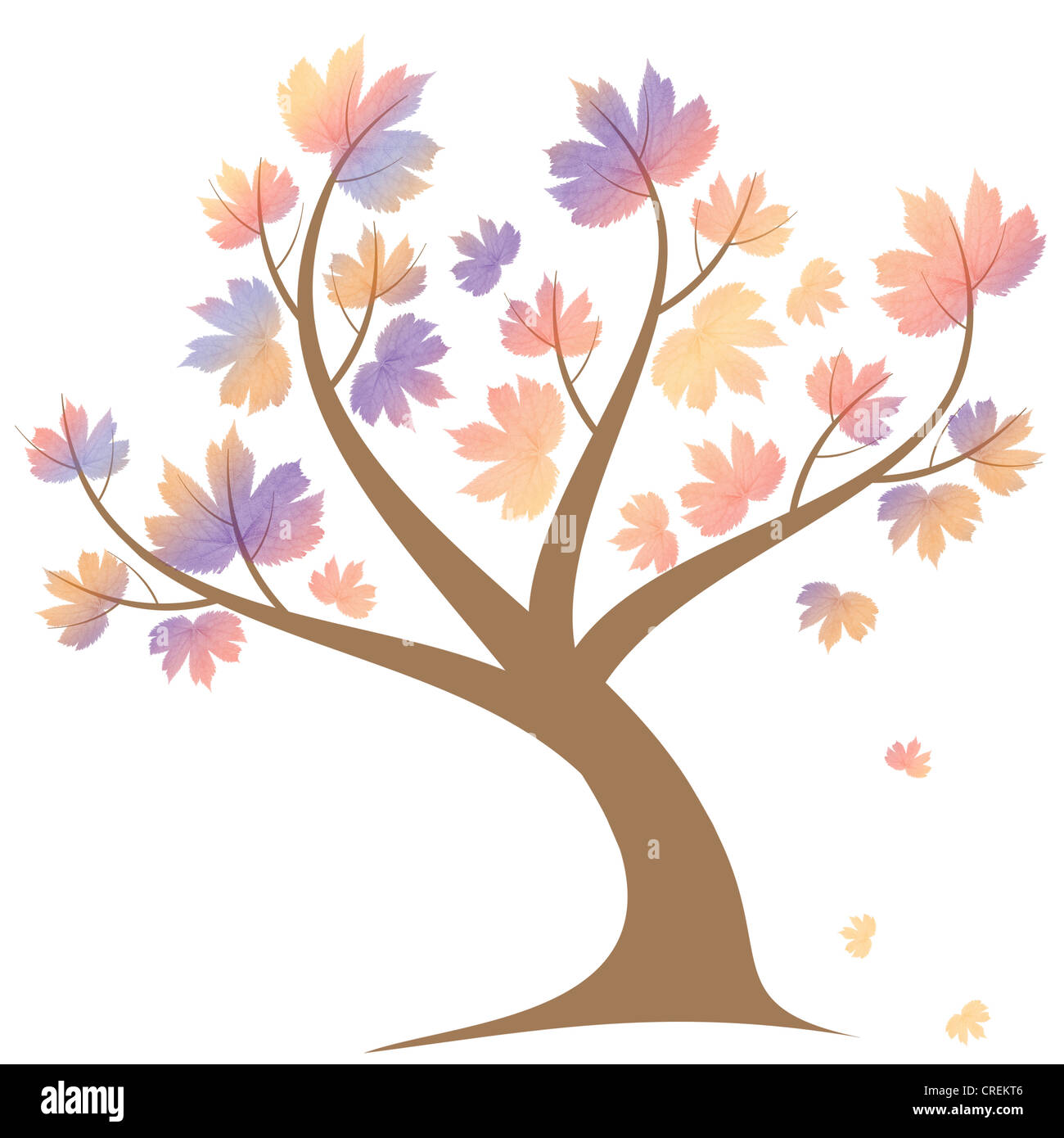 Beautiful autumn tree isolated on white background Stock Photo - Alamy