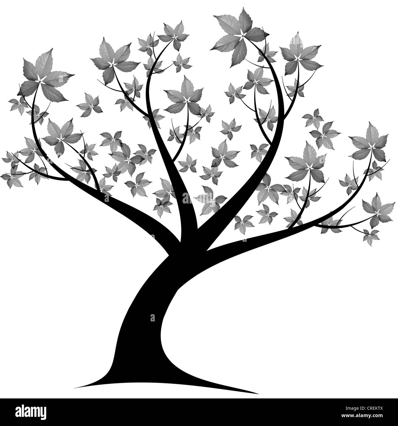 Beautiful art tree isolated on white background Stock Photo - Alamy