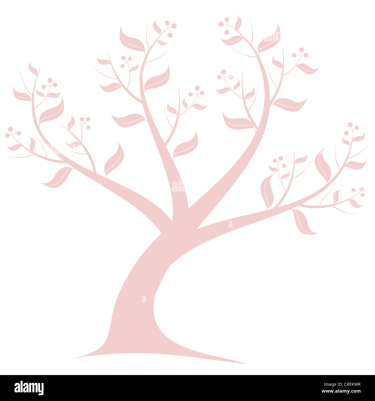 Beautiful art tree isolated on white background Stock Photo - Alamy