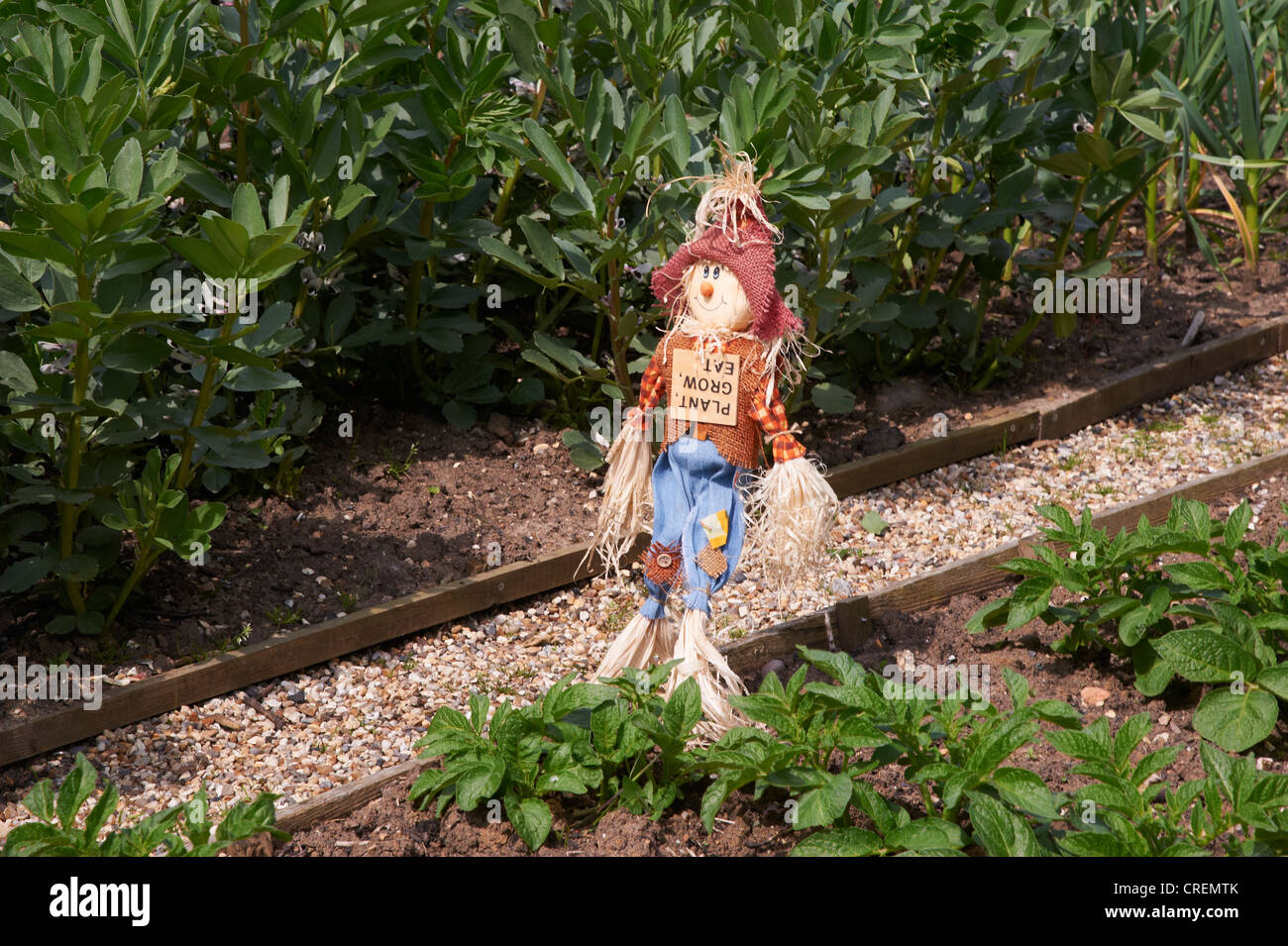 Scarecrow in the garden Stock Photo - Alamy