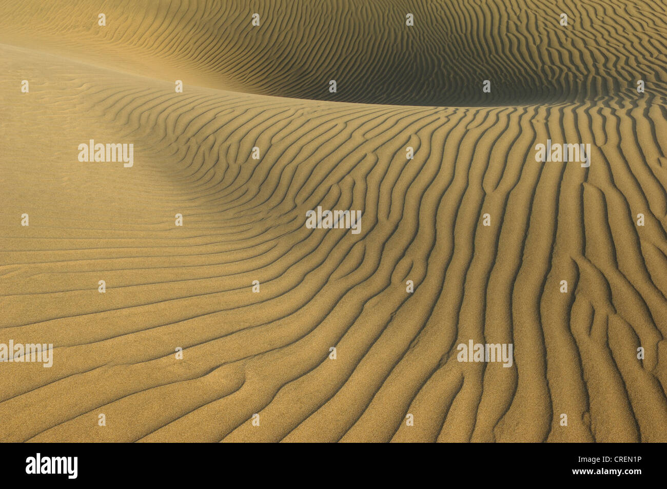 Ripple Marks Geology High Resolution Stock Photography and Images - Alamy
