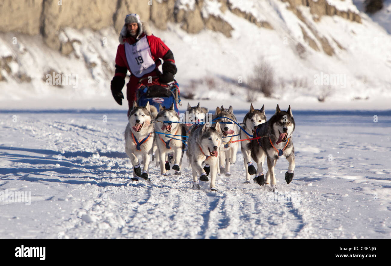Husky sleigh running hi-res stock photography and images - Alamy