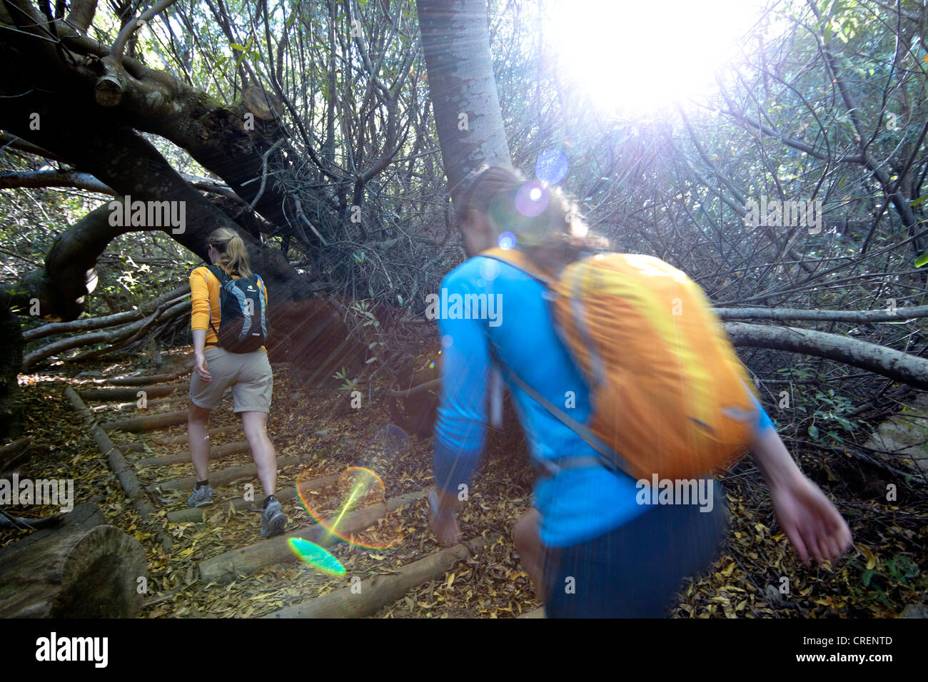Two women hiking on one of the trails of Cape Town Botanical Gardens ...