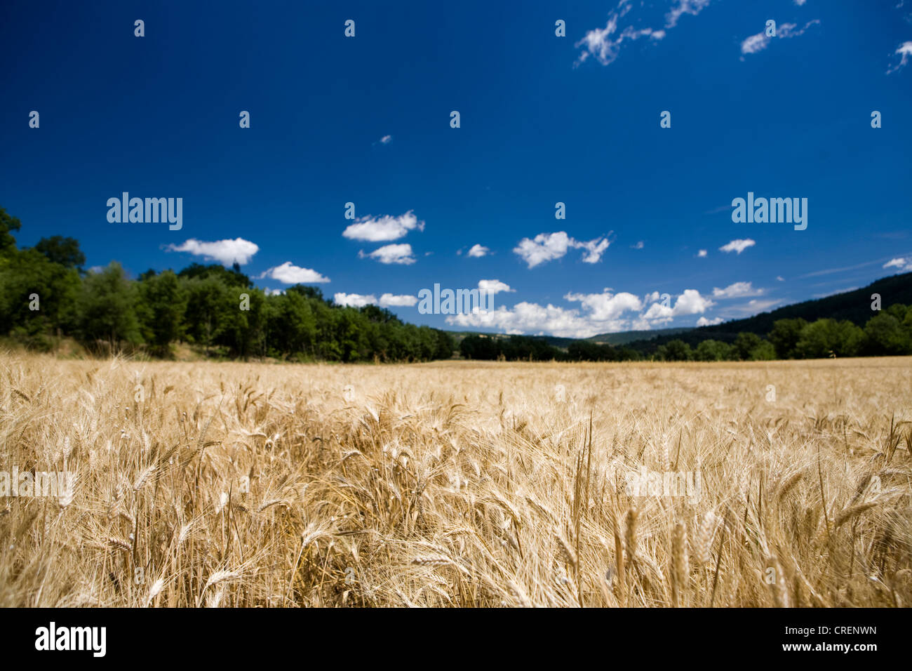 Cereste hi-res stock photography and images - Alamy