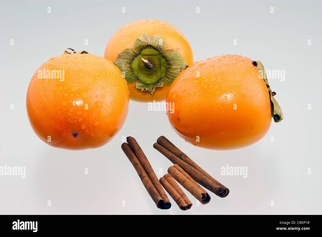 kaki plum tree, Japanese persimmon (Diospyros kaki), fruits with ...