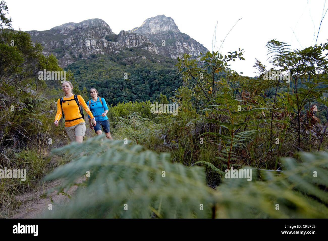 Two women hiking on one of the many trails of Cape Town Botanical ...