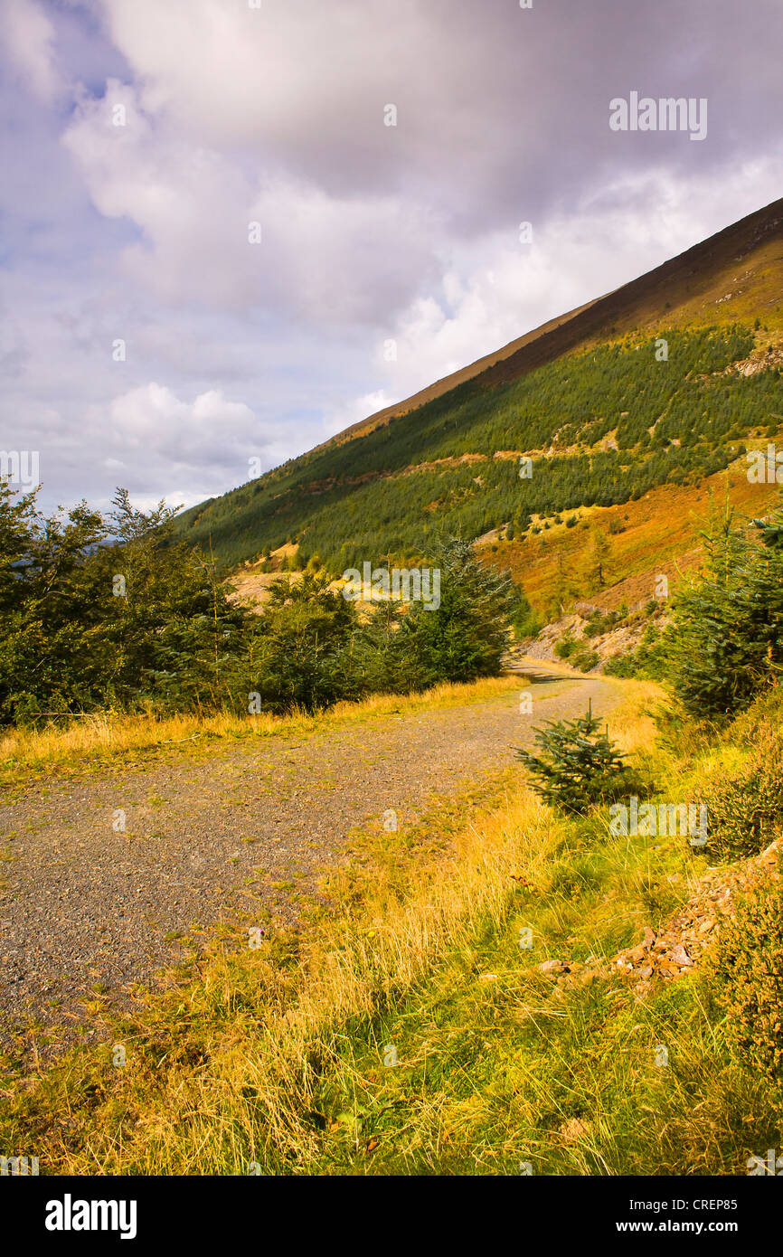 Hill country trail hi-res stock photography and images - Alamy