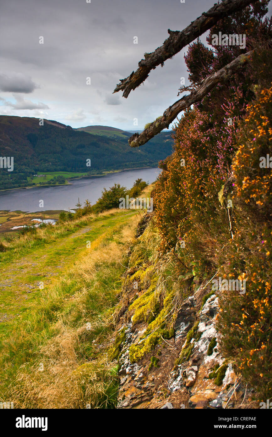 Bassenthwaite lake district hi-res stock photography and images - Alamy