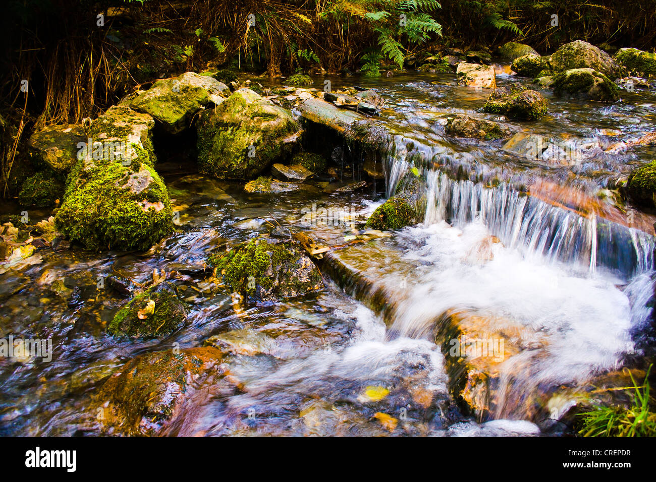 Stream and waterfall hi-res stock photography and images - Alamy