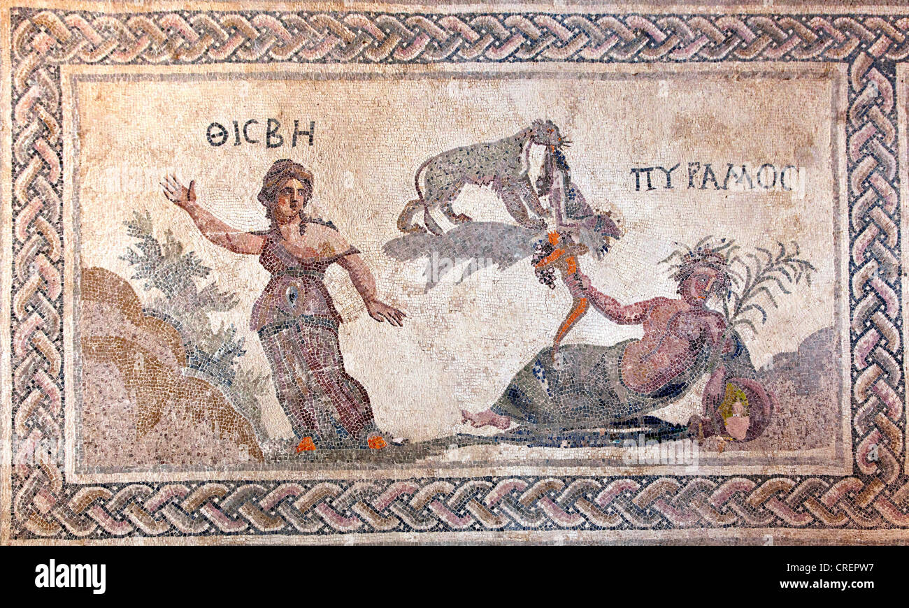 Floor mosaic in the House of Dionysos, Roman settlement, excavation ...