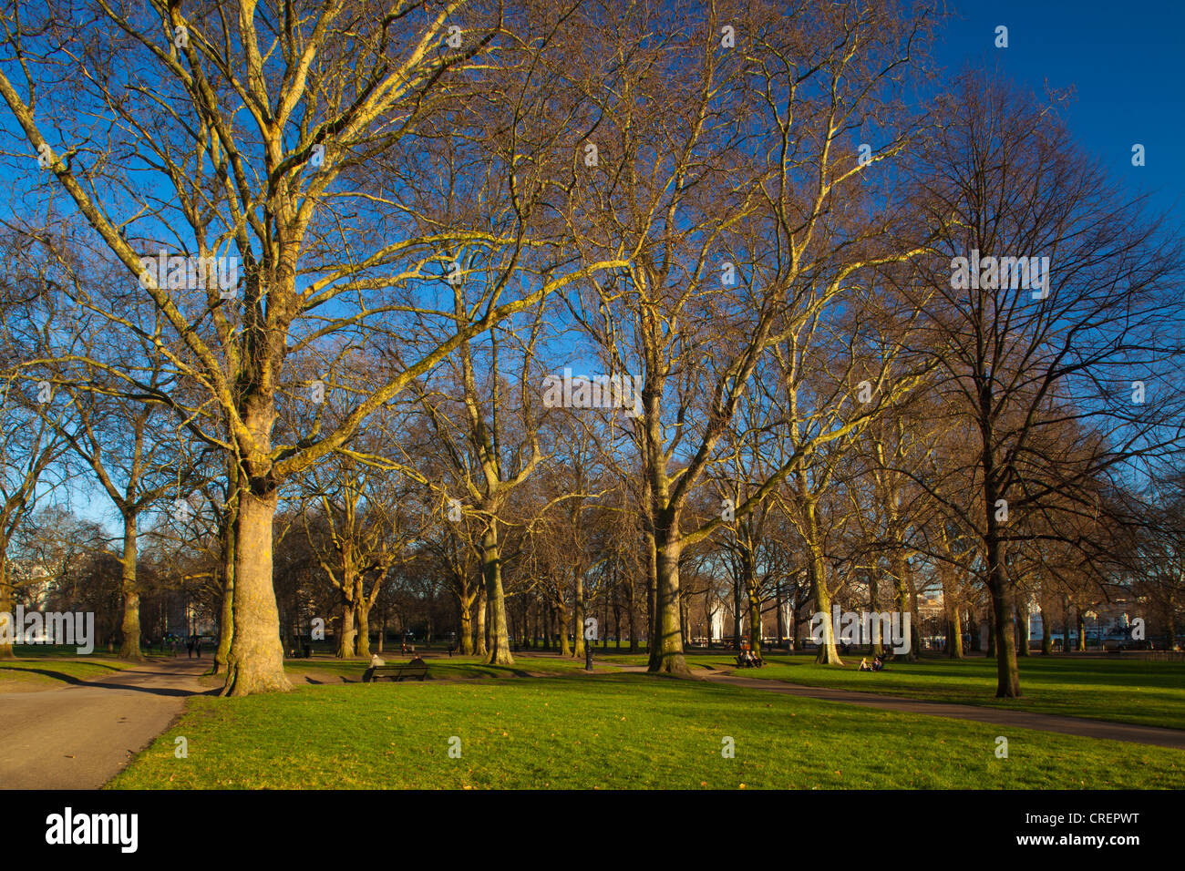 England, London, Green Park. Late afternoon light illuminates Green ...
