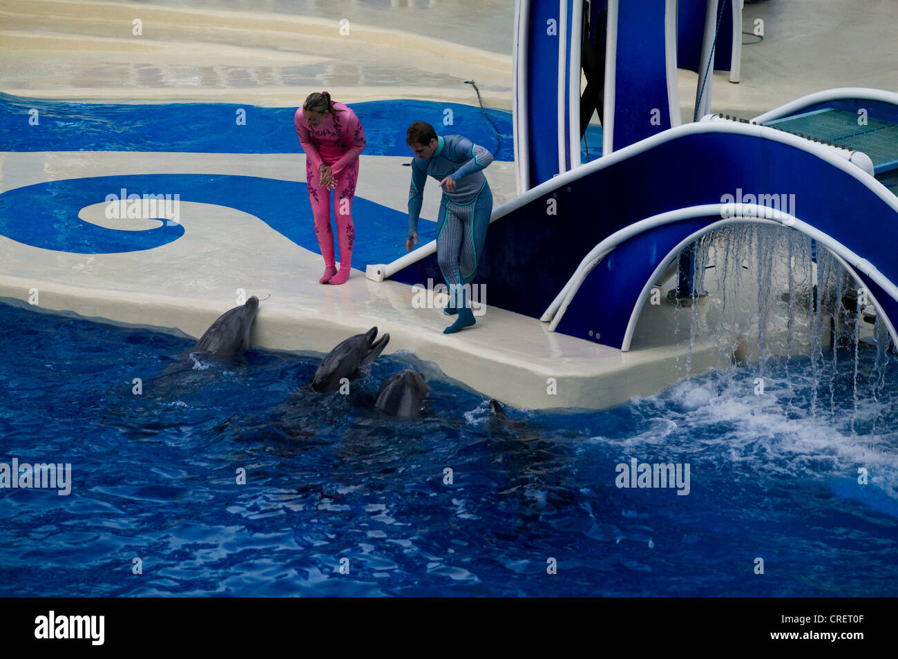 Dolpin display at Sea World Adventure Park, Orlando, Florida, USA Stock ...