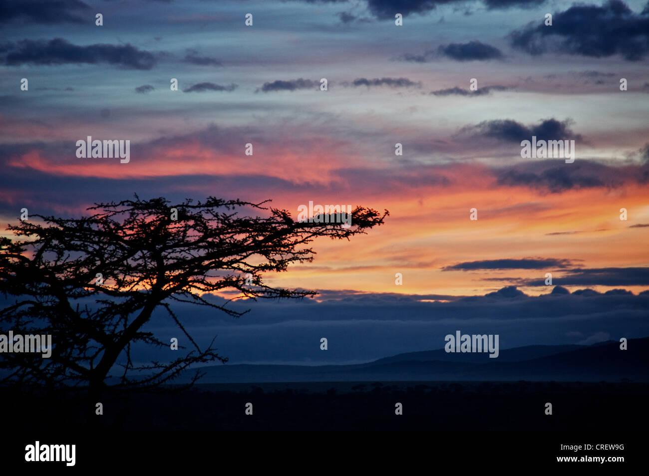 Beautiful view on the sunset in Kenya Stock Photo - Alamy