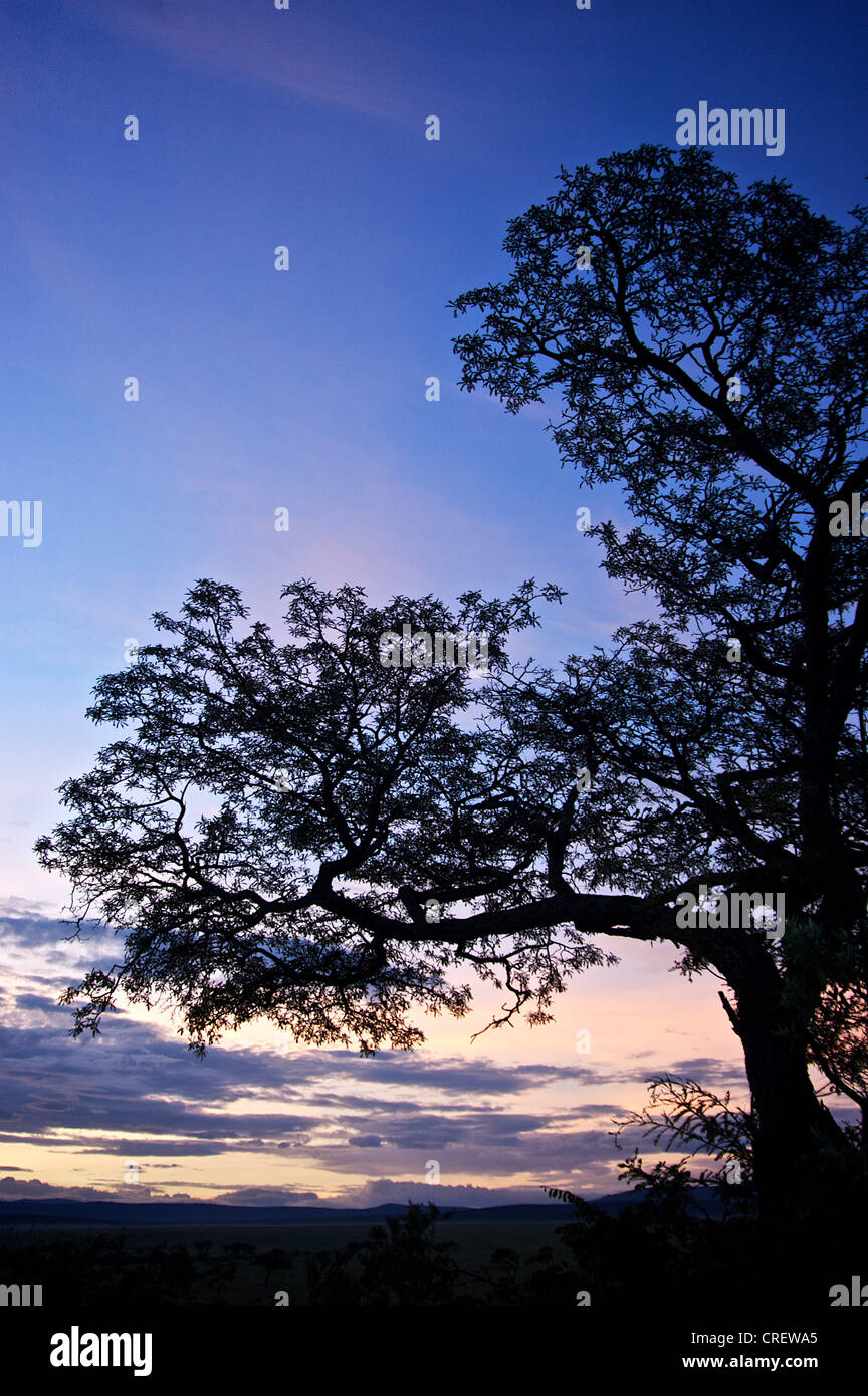 Beautiful view on the sunset in Kenya Stock Photo - Alamy