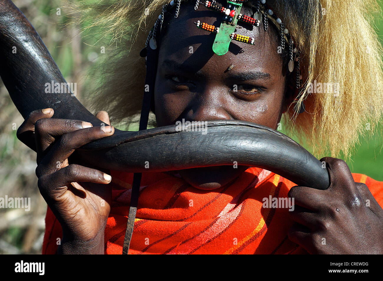 Portrait of a young Kenyan boy Stock Photo - Alamy