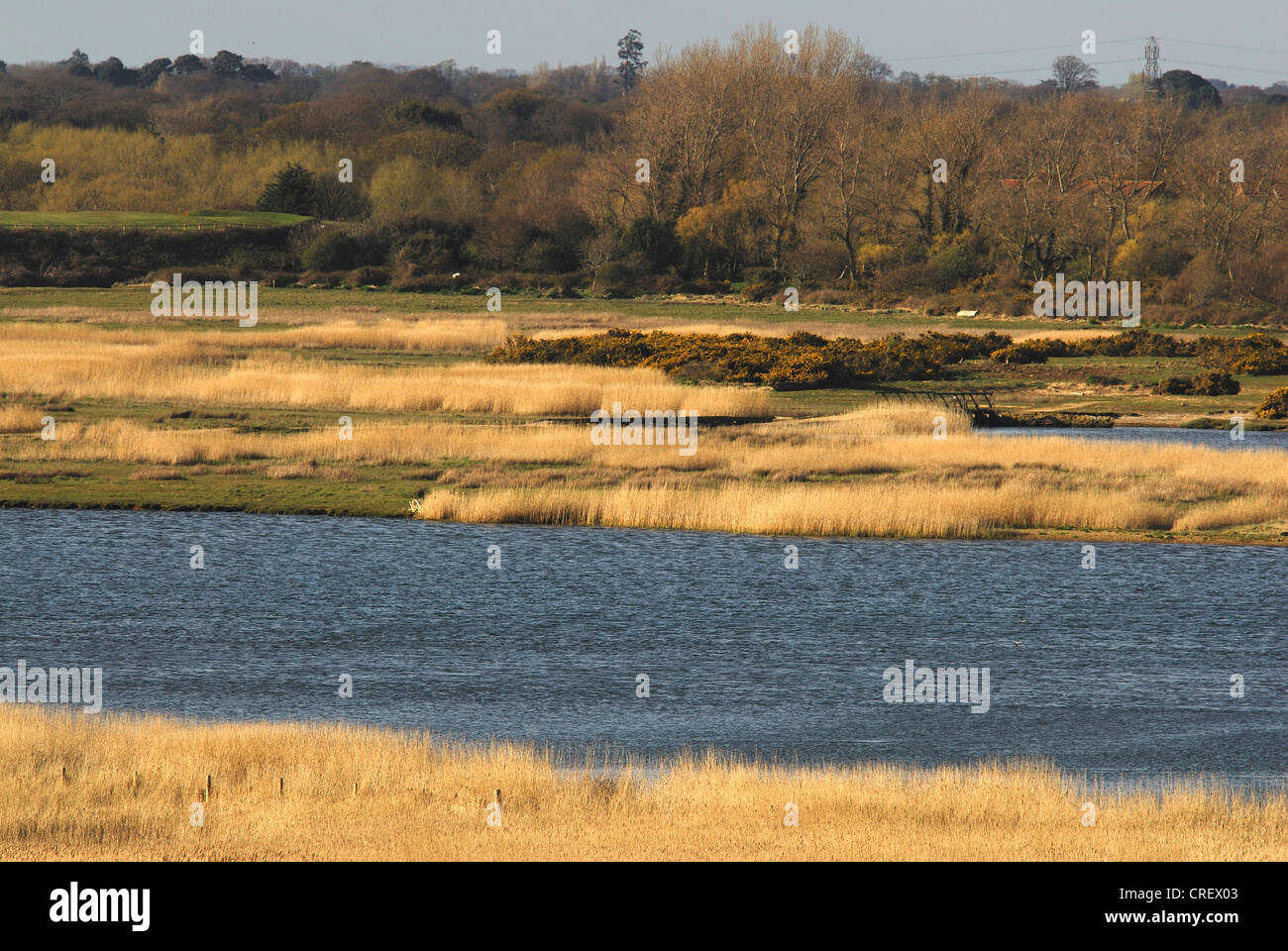 Stanpit hi-res stock photography and images - Alamy