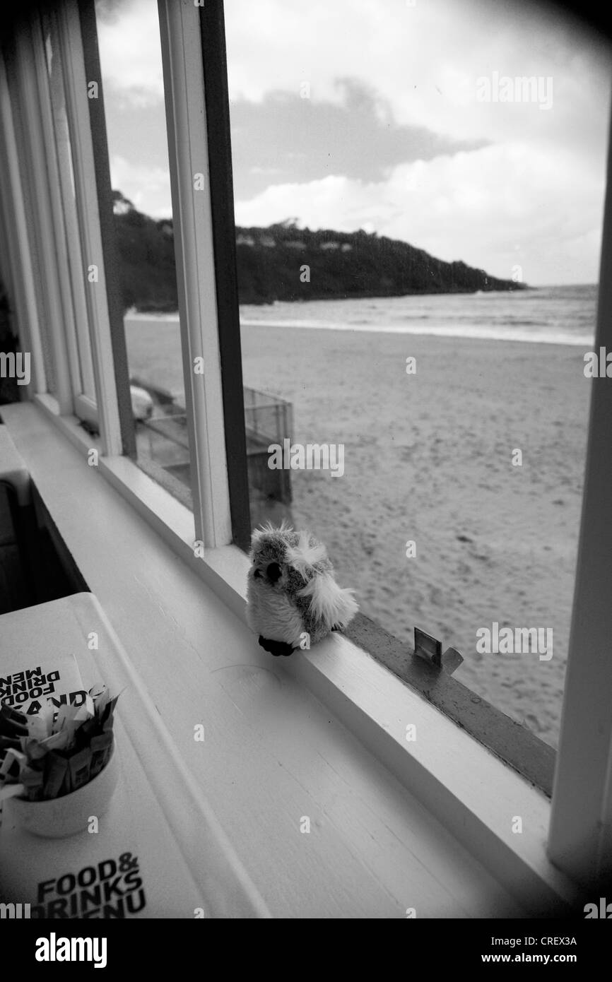 Walker on beach in Black and White Stock Photos & Images - Alamy