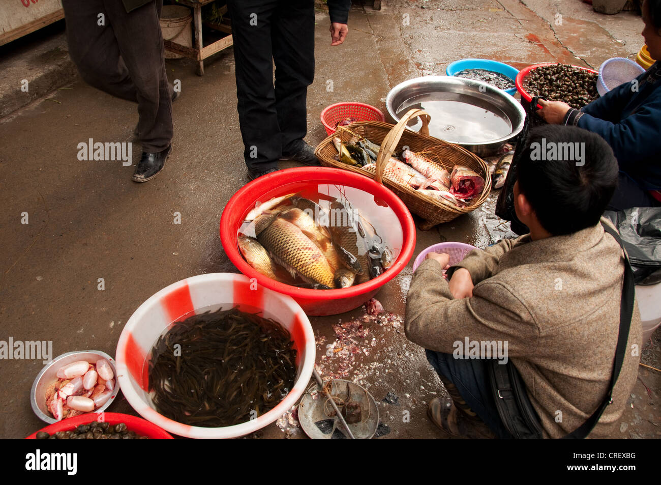 Selling fishes in colorful basins at Rongjiang market, Southern China ...
