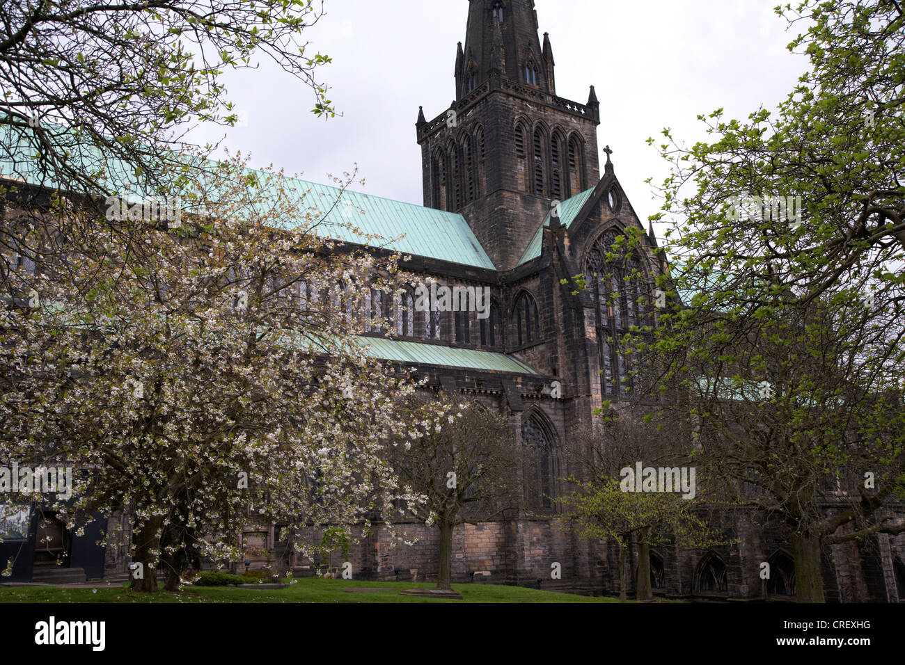 glasgow cathedral scotland uk Stock Photo - Alamy