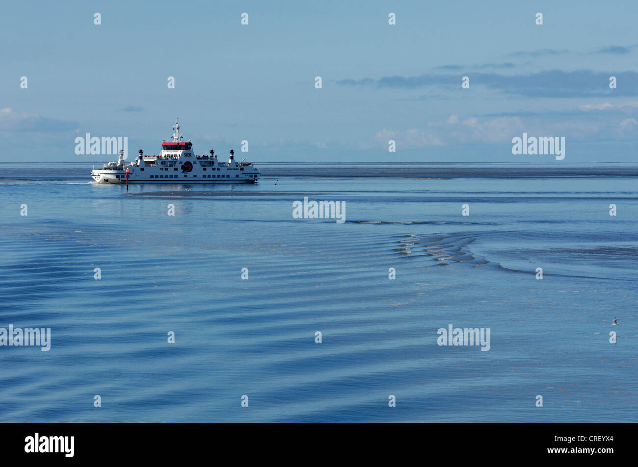ferry between Holwerd and Ameland, Netherlands, Ameland Stock Photo - Alamy