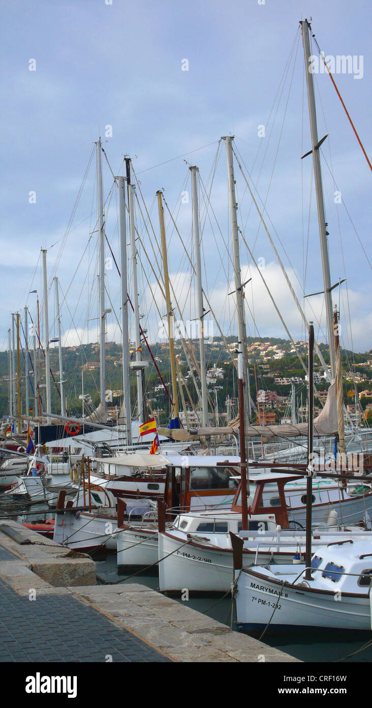 harbor with sailboats, Spain, Majorca, Port Andratx Stock Photo - Alamy